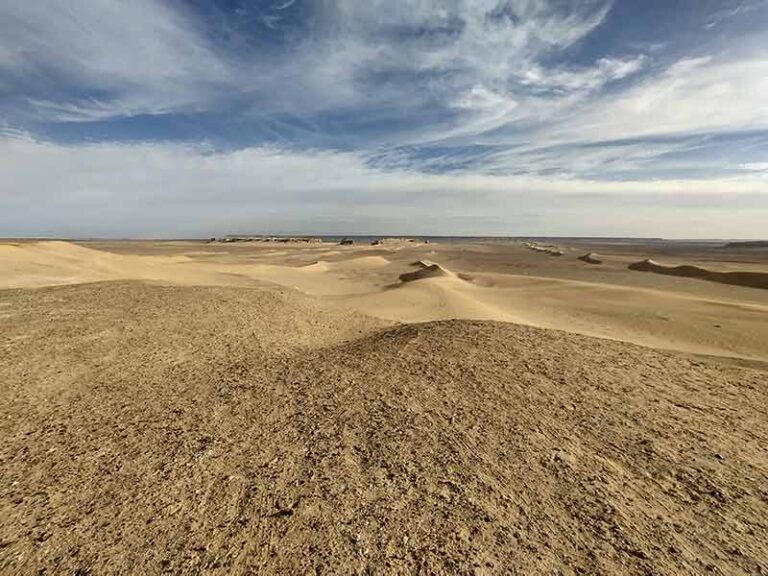 Dabuka - One Of The Best Travel Agencies in Egypt